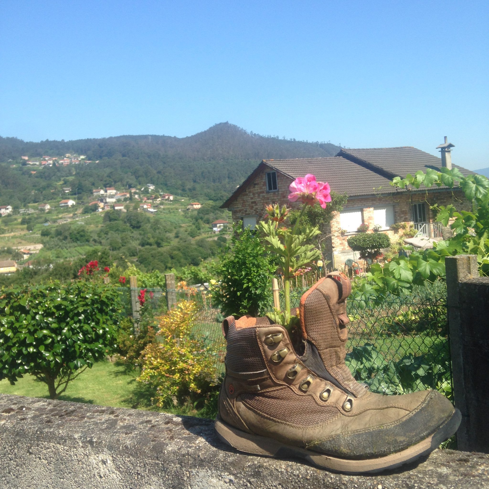 St. James walk. The three reasons to walk this route – VIAJARMOS